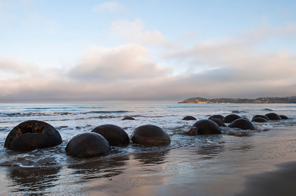 Shop - Taimana Beauty