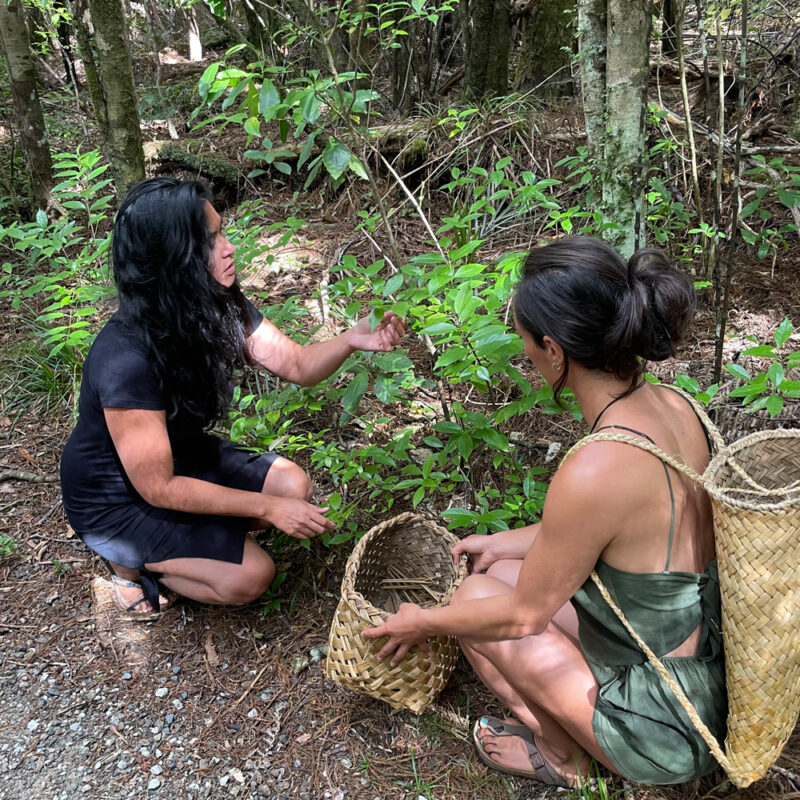 Taimana Beauty | Sustainable Beauty, Sustainable Skincare